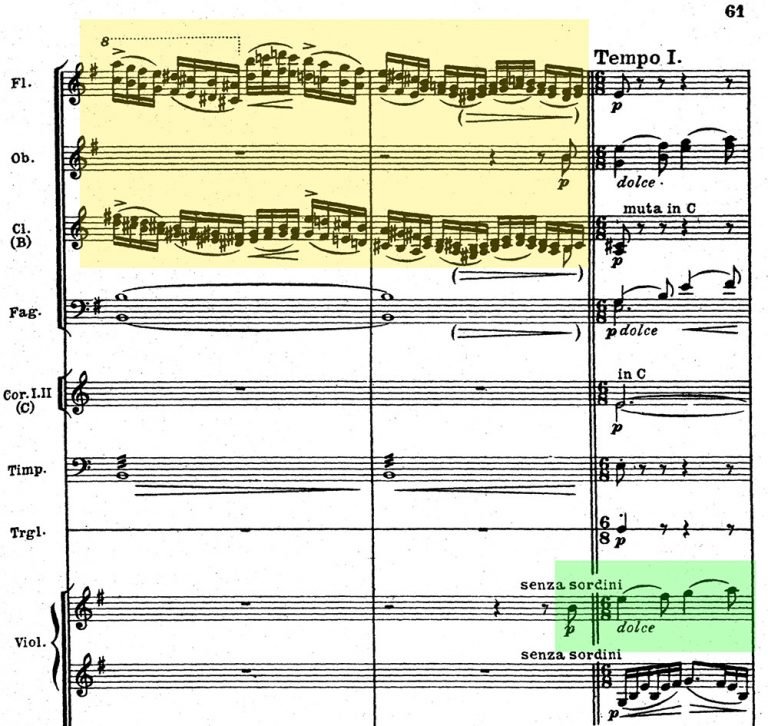 Conducting Smetana - The Moldau [analysis]
